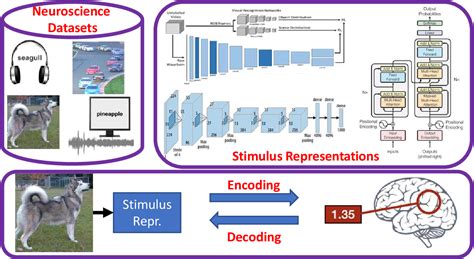 Figure 1 From Deep Neural Networks And Brain Alignment Brain Encoding And Decoding Survey