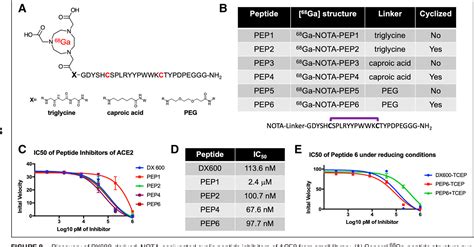 figure 2 from cyclic 68 ga labeled peptides for speci ﬁ c detection of