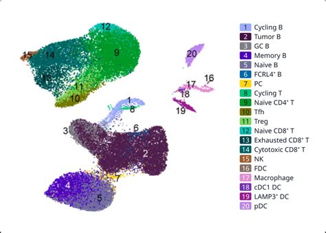 Single Cell Rna Sequencing Bostongene