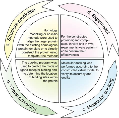 Basic Procedure Of Structure Based Drug Design Sbdd A Structure Download Scientific