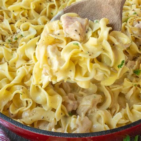One Pot Chicken And Noodles Skillet In 2025 Cooked Chicken Recipes