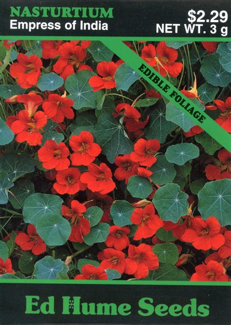 Nasturtium Empress Of India Hume Seeds