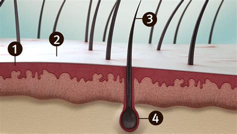 Living Aveda Blog Scalp Care