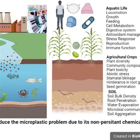 Possible Effects Of Microplastic Pollution On Aquatic Agricultural