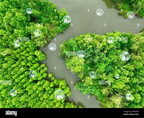 Carbon Neutrality Concept Green Tree Capture Of Carbon Emissions From Factories And