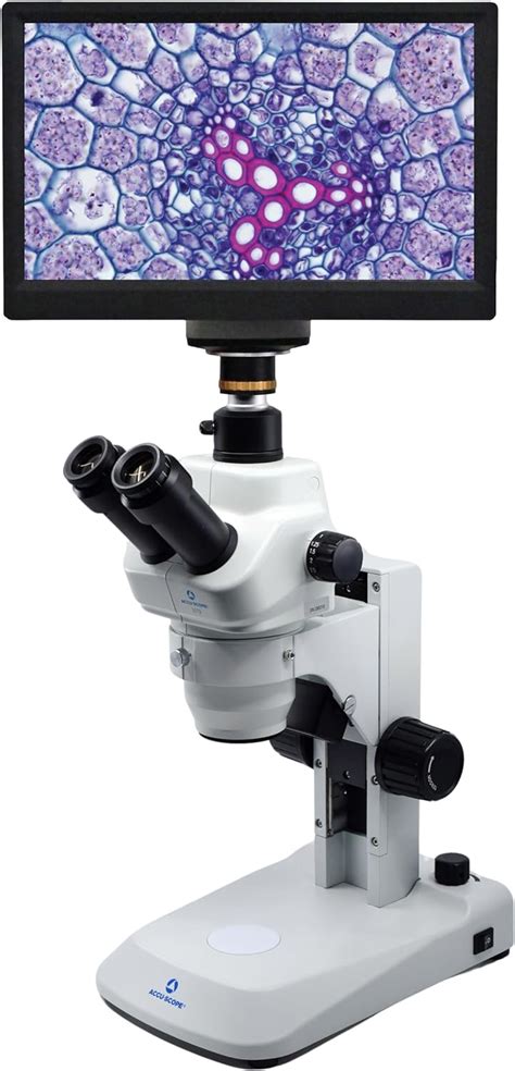 Accu Scope Digital Stereo Microscope W Camera And 11 6 Lcd