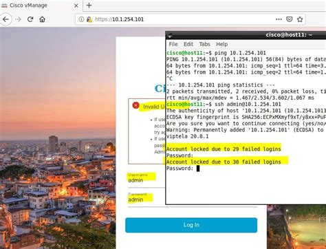 Cisco Sdwan And User Account 20 8 1