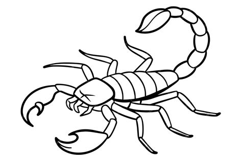 Premium Vector Scorpion With A Black Outline