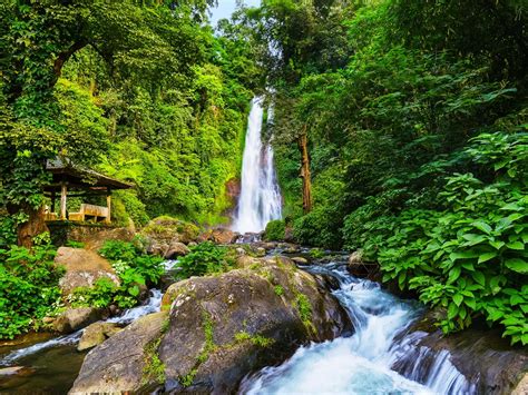 Yuk Kunjungi Air Terjun Gitgit Di Buleleng Bali Uptodate