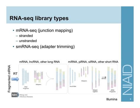 RNA Seq PDF Genetics Science