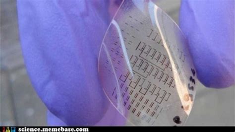 Flexible Plastic Circuit Board Electronics Technology Technology Circuitry