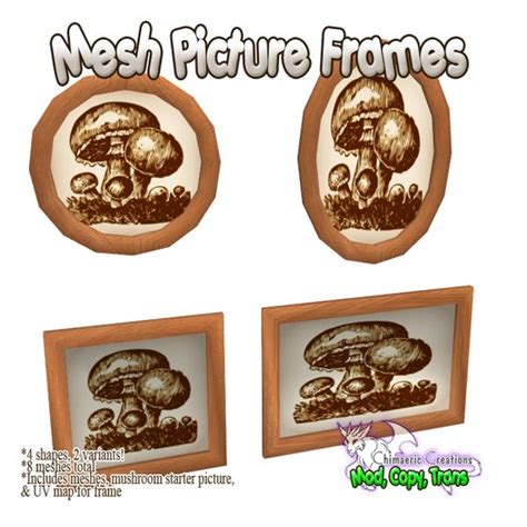 Second Life Marketplace Mesh Frames