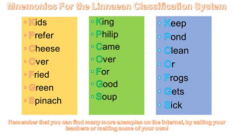 Mnemonic For Classification System Images And Photos Finder
