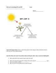 Understanding GPP And NPP Calculations In A Mini Lab Experiment Course Hero
