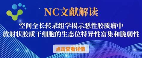 Nc文献解读 空间全长转录组学揭示恶性胶质瘤中放射状胶质干细胞的生态位特异性富集和脆弱性 知乎