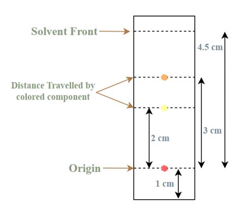 Rf Factor Chromatography Formula At Brenda Hansford Blog