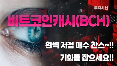 비트코인캐시bch코인분석ㅣ완벽 저점 매수 찬스~기회를 잡으세요누구나 수익보는 방법 Youtube