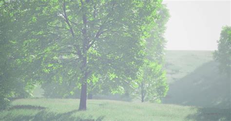 Animated Trees Stock Video Footage For Free Download
