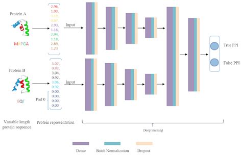 an integration of deep learning with feature embedding for protein