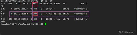 【linux进程】手把手教你如何调整 进程优先级（什么是优先级？为什么要有优先级？） 进程优先级怎么设置 csdn博客