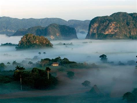 Jurassic Period Artwork Photos Dinosaur Photos National Geographic