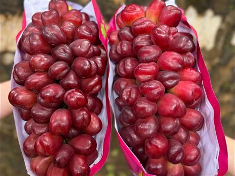 Nho Trái Tim đắt Gấp 10 Lần Nho Quý Tộc Gây Sốt Chợ Việt