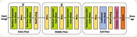 The Framework Of Xception Which Includes The Entry Flow The Middle