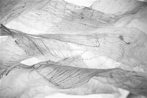 Mediation • Practice Areas • Slotine