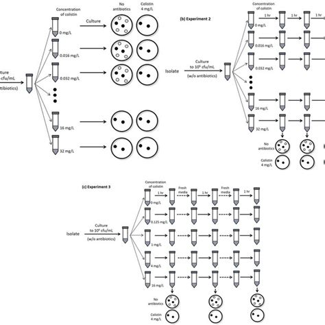The Results Of Population Analysis Profiling Pap Of Type I