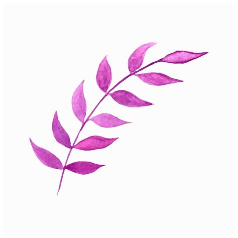 Premium Vector Watercolor Twig Vector Illustration Premium Vector Watercolor Twig Vector Illustration