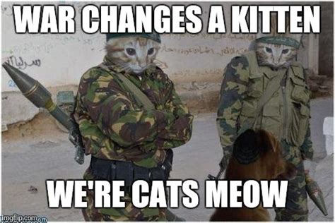 Soldier Cats Memes Imgflip
