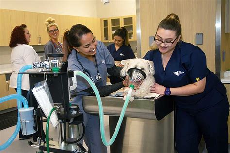 Veterinary Assistant Certificate Program