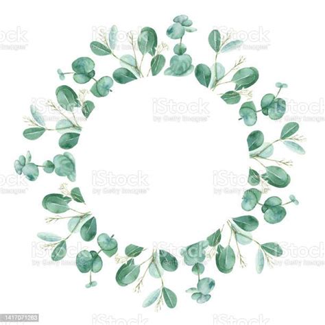수채화 유칼립투스 둥근 프레임은 흰색 배경에 고립되어 있습니다 소박한 녹지 유칼립투스 가지 손으로 그린 식물 삽화 문구류 청첩장 날짜 저장 인사말 카드 로고 스티커에 이상적