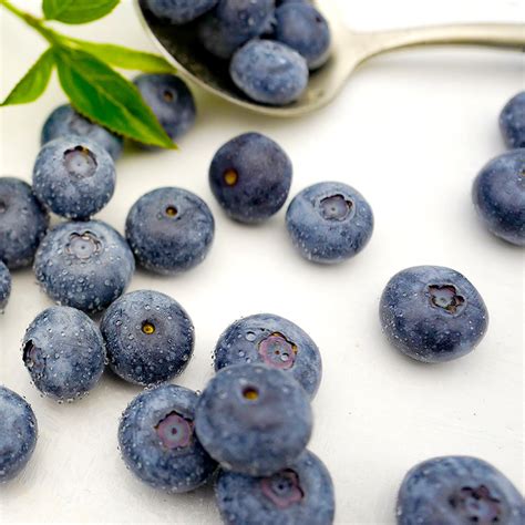 블루베리 효능 16가지 총정리 And 블루베리 쥬스 만드는법