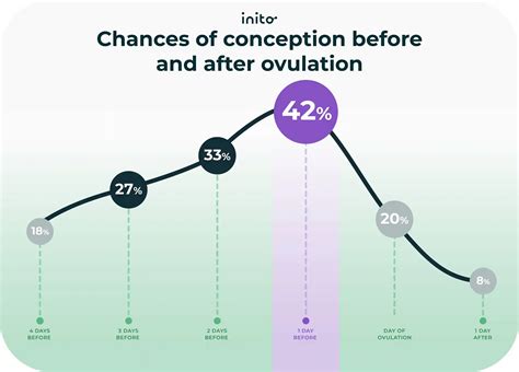 Getting Pregnant Understanding Fertility 2 Days After Ovulation Inito