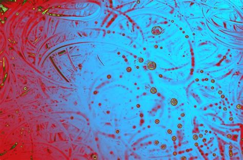 Premium Photo Air Bubbles Inside Water Base Form Patterns