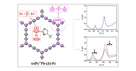 ππ Interaction Promoting The Absorption Of Electroactive Chiral Selectors Into The Cavity Of