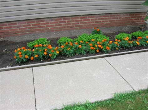 Vikis Place Front Flower Bed