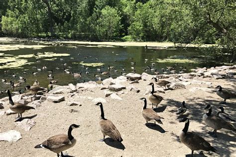 20 Free Things To Do In Green Bay Wi For 2025