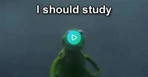 Insert Title Here Album On Imgur