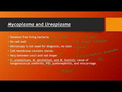 Mycoplasma Ureaplasma Symptoms Kqjjx