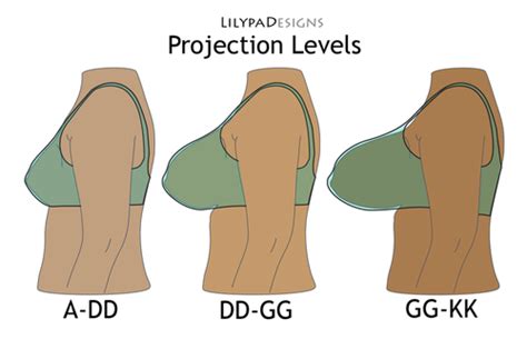 Bra Size Calculator — Lilypadesigns