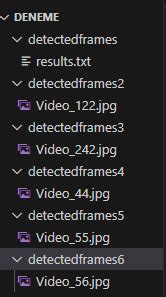 Python Yolo Model Save Function Saves The Detected Images Into