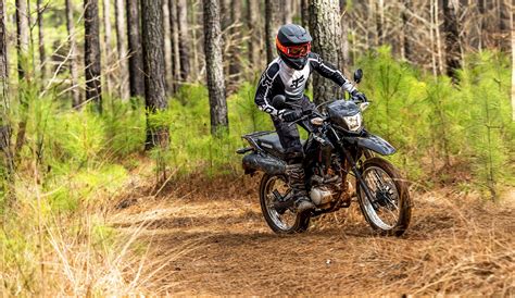 Honda Xr150l Dual Sport Motorcycle Honda Powersports