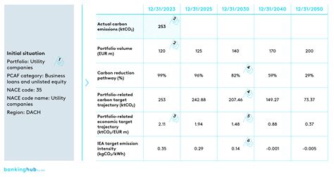 Decarbonization Pathways For Financial Institutions Overcoming
