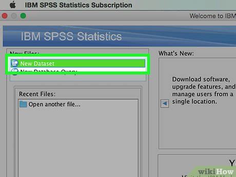 How To Enter Data In SPSS Steps With Pictures WikiHow
