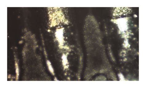 Source Images And Fused Images Of Sequence 1 For PCB A Tested PCB Download Scientific