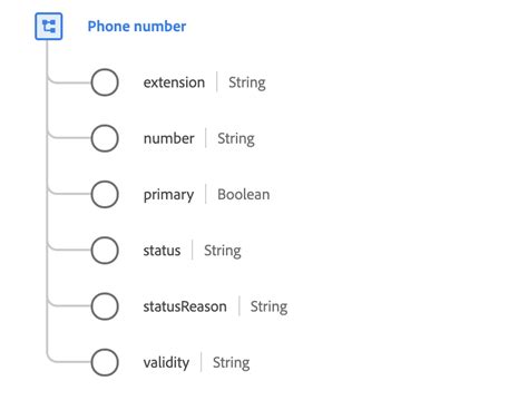 Phone Number Data Type Adobe Experience Platform