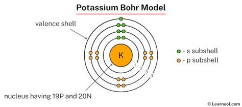 Potassium Bohr Model Diagram Steps To Draw Techiescientist Images And Photos Finder