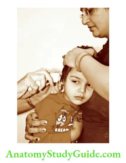 Pediatric General Physical Examination Notes Anatomy Study Guide